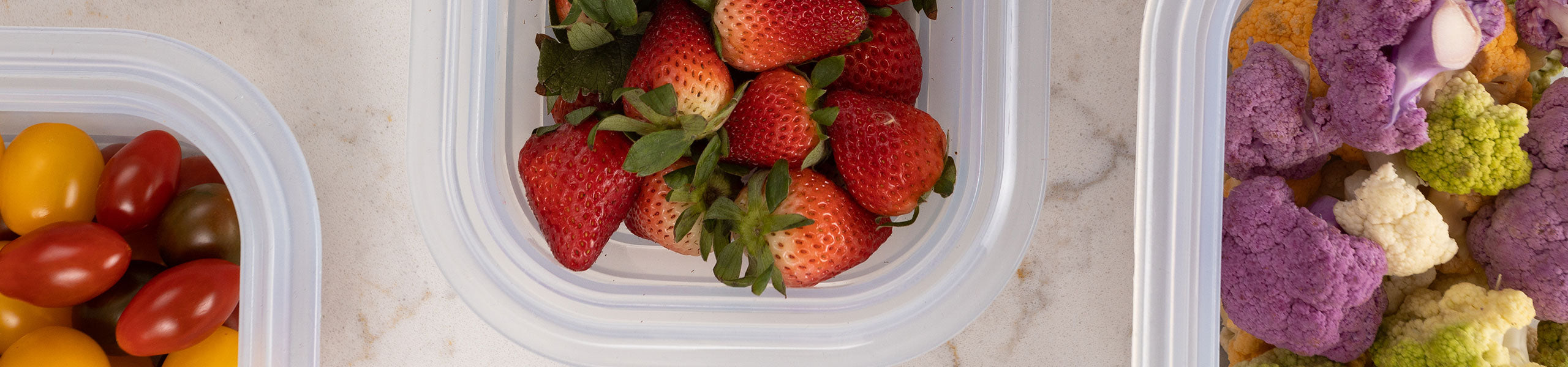 Silicone Food Storage Containers & Bags | Xtrema Cookware | Xtrema Pure ...